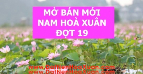 Đất Nam Hoà Xuân